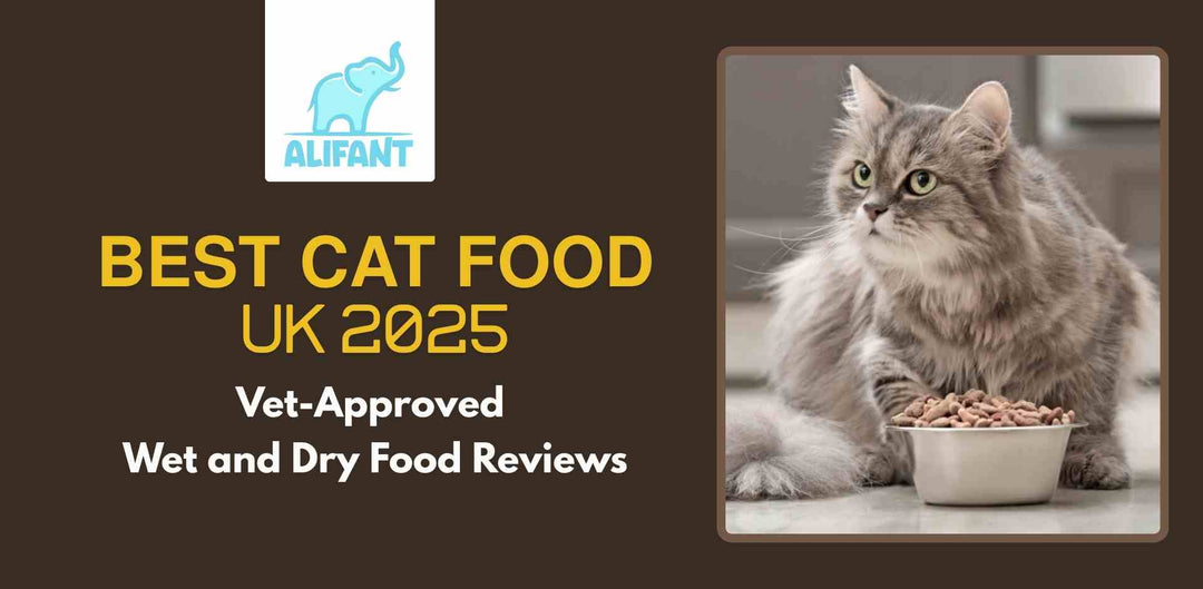 Best Cat Food UK 2025: Vet-Approved Wet and Dry Food Reviews – Alifant