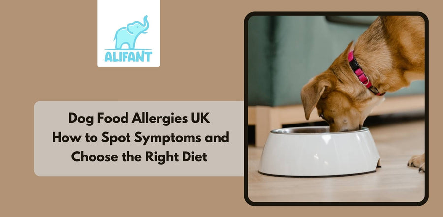 Dog Food Allergies UK: How to Spot Symptoms and Choose the Right Diet ...