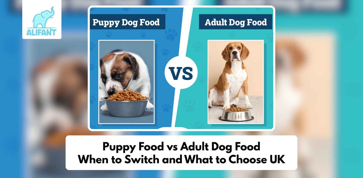 Puppy Food vs Adult Dog Food: When to Switch and What to Choose UK ...