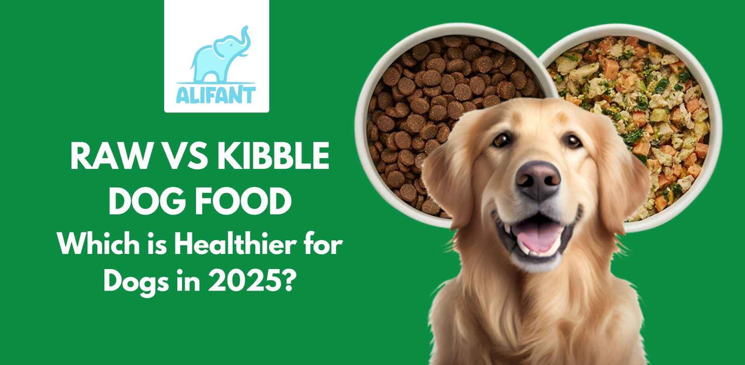 Raw vs Kibble Dog Food: Which is Healthier for Dogs in 2025? – Alifant