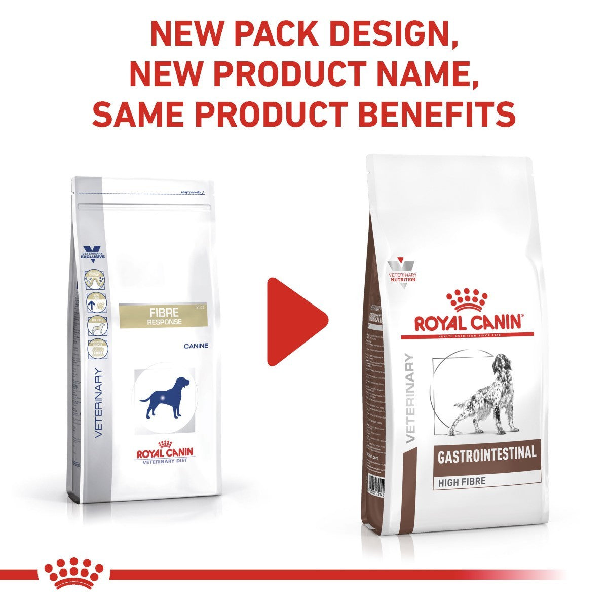Royal Canin Gastrointestinal High Fibre Dry Dog Food | Alifant